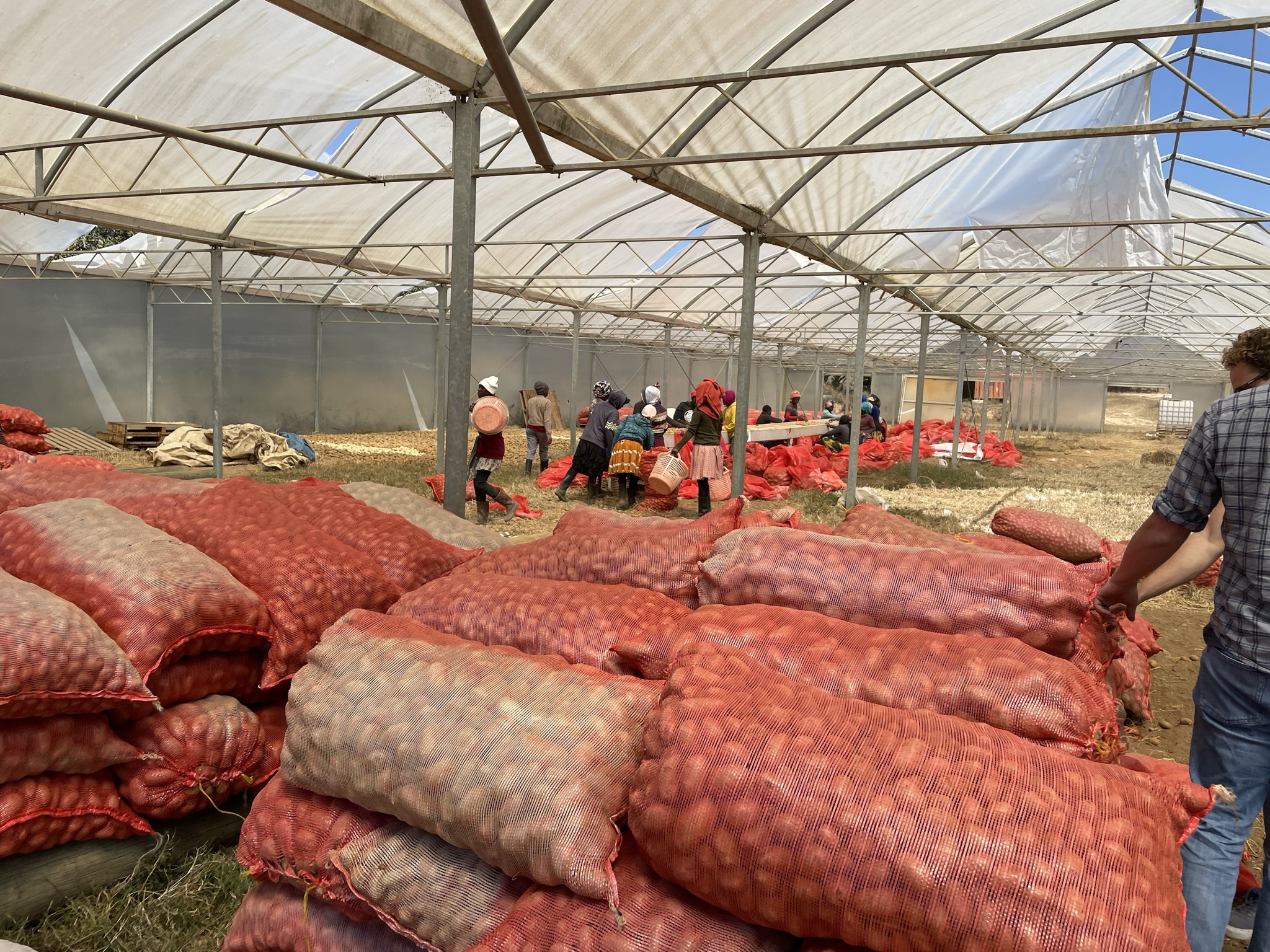 About – Mapinga Premium Food Ltd